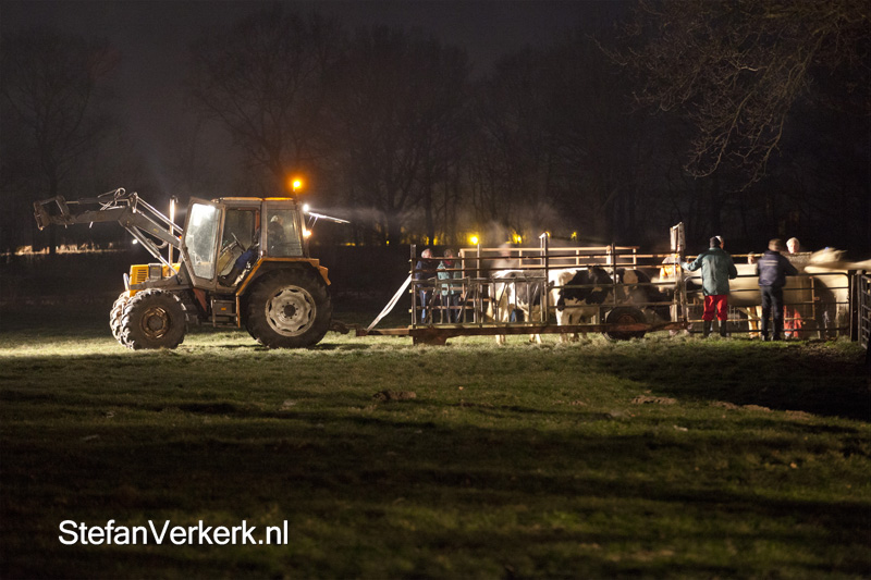 Brand Hasselt - Foto's - Stefan Verkerk Fotografie & Webdesign