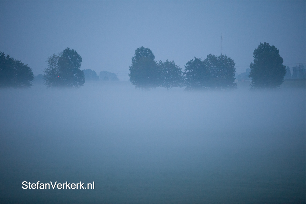 Mist boven het weiland - Foto's - Stefan Verkerk Fotografie & Webdesign
