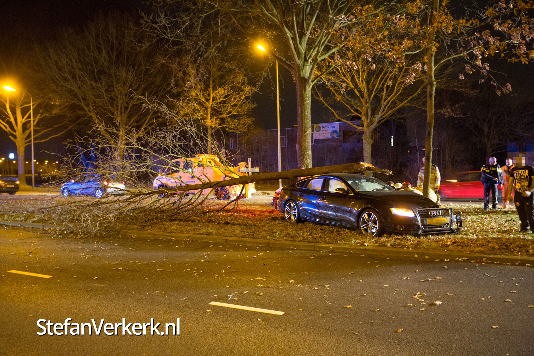 Auto rijdt boom omver Zwartewaterallee Zwolle - Foto's - Stefan Verkerk ...