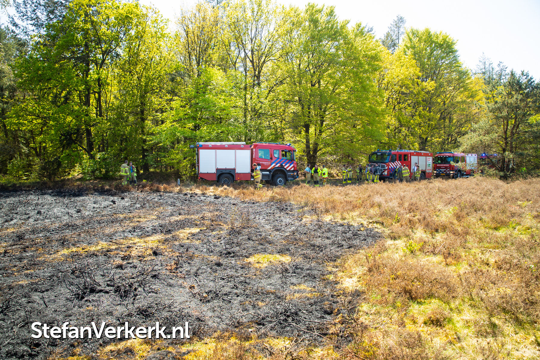 Heidebrand langs de Nunspeterweg bij Elspeet - Foto's - Stefan Verkerk ...